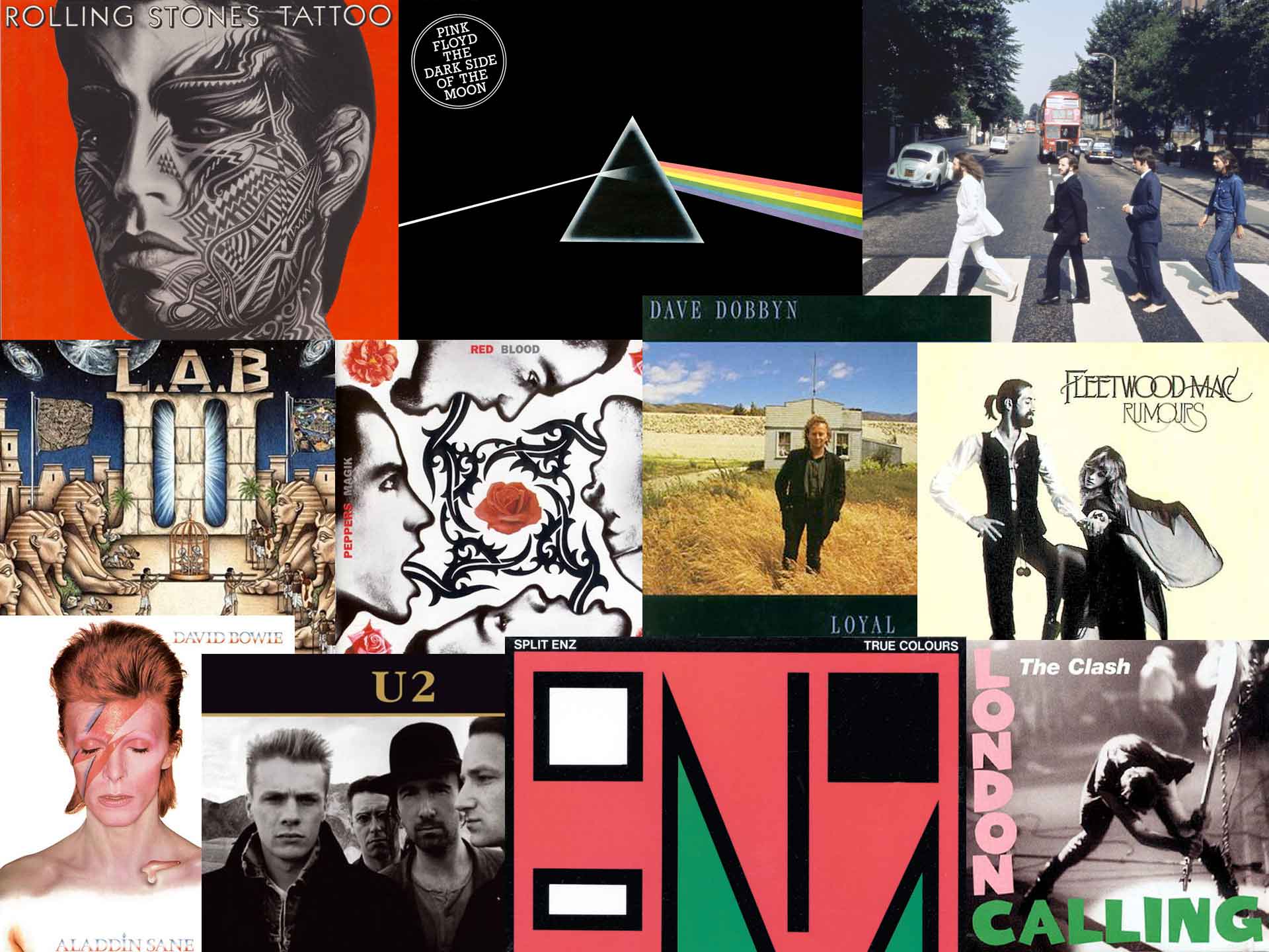 Coromandel's CFM - Businesses Around Mercury Bay NZ